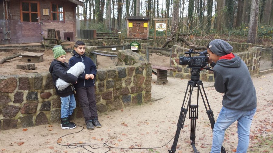 between the countries | Filmischer Besuch im Wolgaster Tierpark
